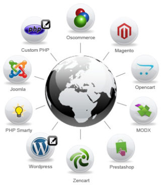 What Is The Best Customizable Marketplace Software